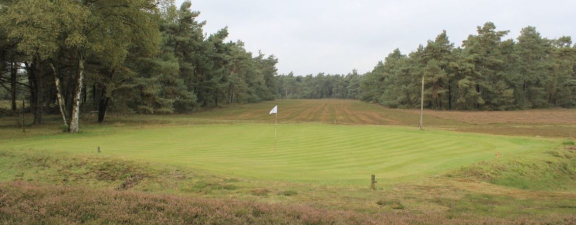Heidegolf in Nederland: Ullerberg Heidegolf - NGF